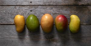 When are mangos in season? Learn more | National Mango Board