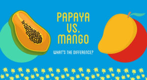 When are mangos in season? Learn more | National Mango Board