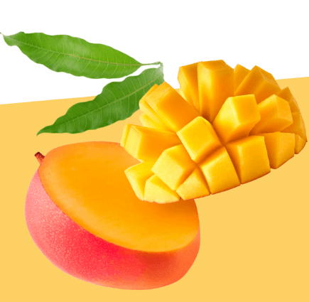 Mangos - All You Need To Know About Mango - Mango.org