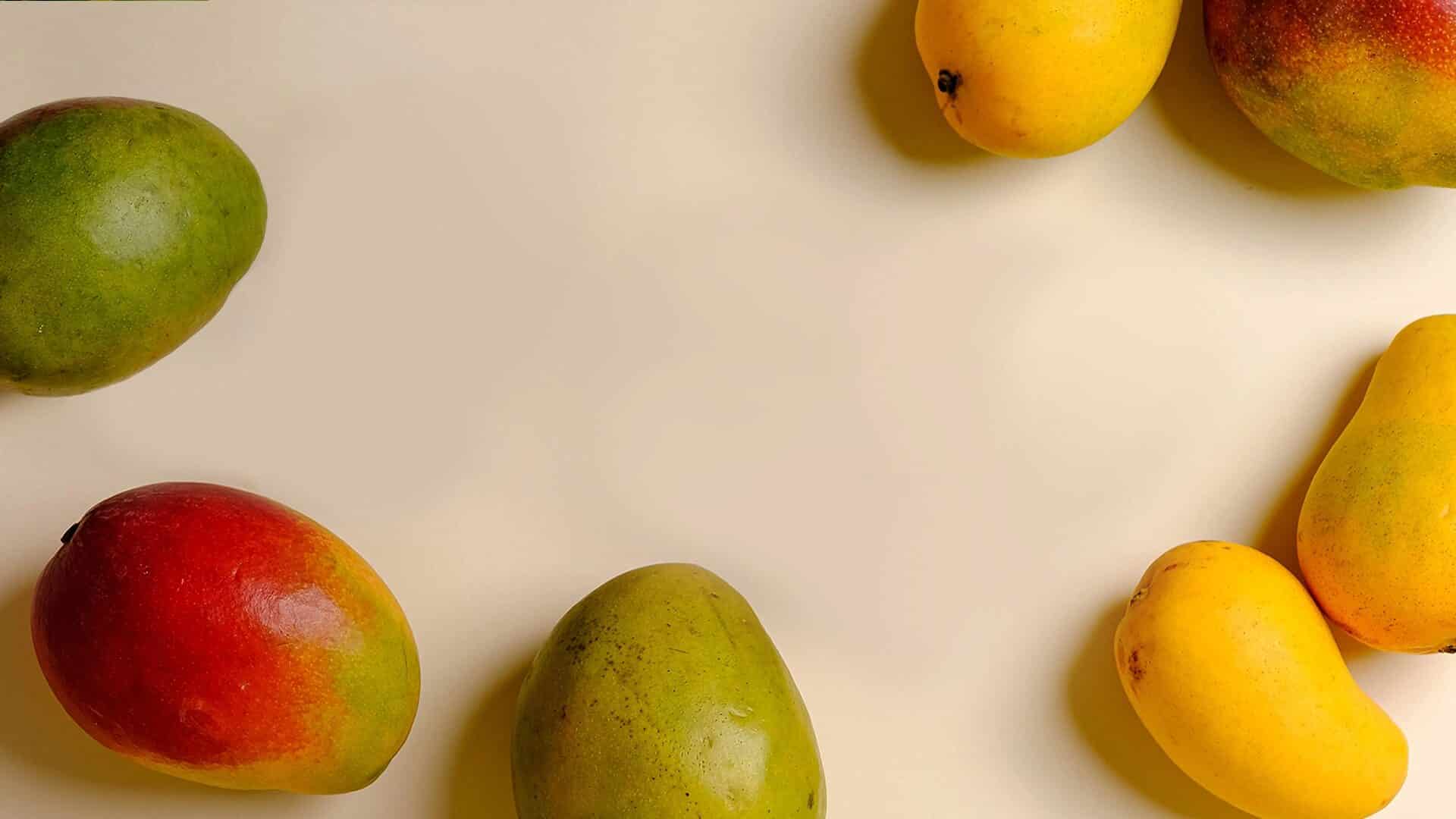 El Mango: Maravilloso, Asombroso y Mágico. - Mango.org El Mango: Maravilloso, Asombroso y Mágico. - Mango.org