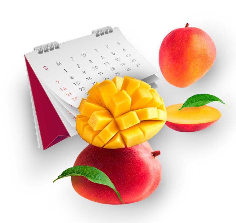 Education - Mango.org