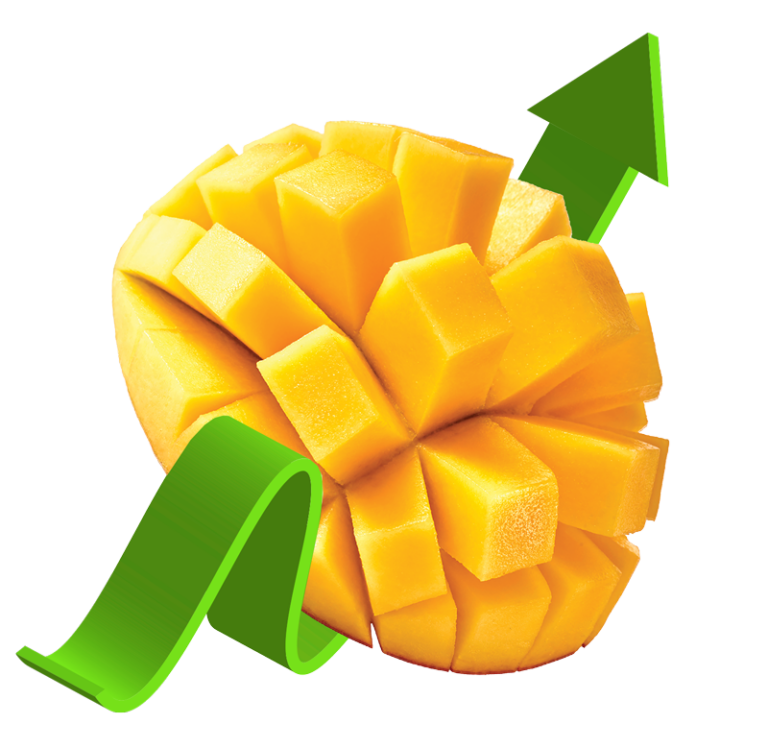 Highlights - Mango.org