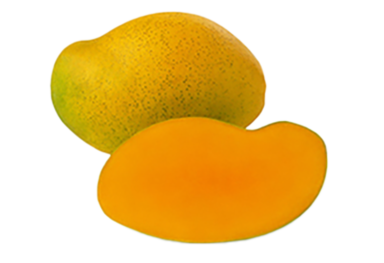 Mango Varieties - Mango.org