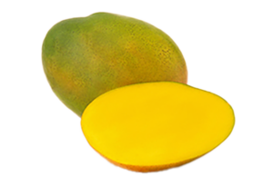 Keitt - Mango.org