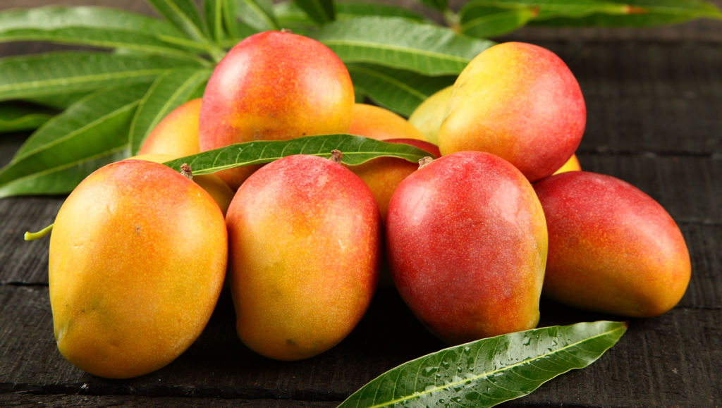 About the National Mango Board