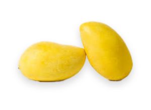 Manila - Mango.org