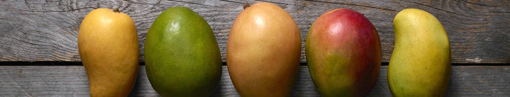 Variedades de Mango y Disponibilidad - PLU | Junta Nacional del Mango