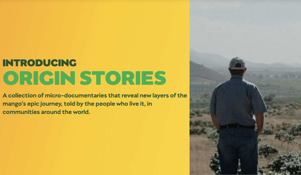 Mangos - All You Need To Know About Mango - Mango.org