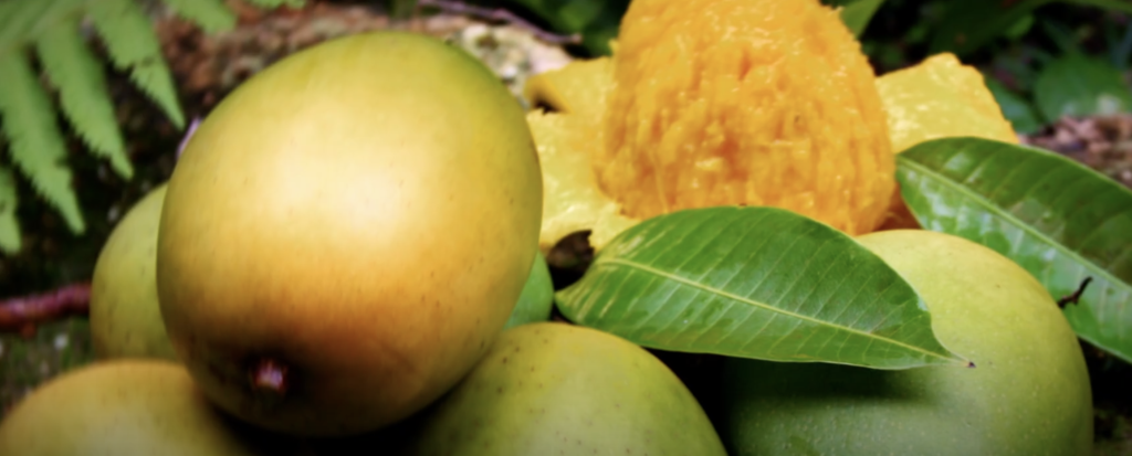 American Mango Story - Mango.org